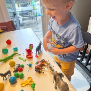 Benefits of Play Dough and Easy Fine Motor Activity Ideas