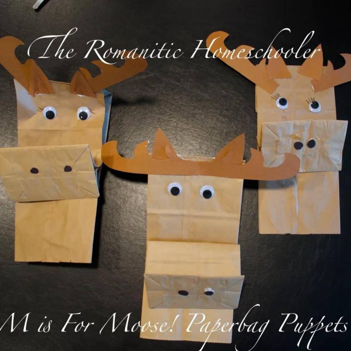 57 creative If You Give a Moose a Muffin Activities