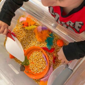 The Best DIY Thanksgiving Sensory Bin for Toddlers