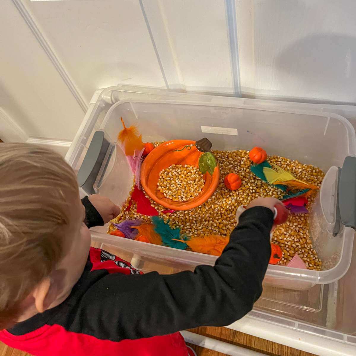 The Best DIY Thanksgiving Sensory Bin for Toddlers