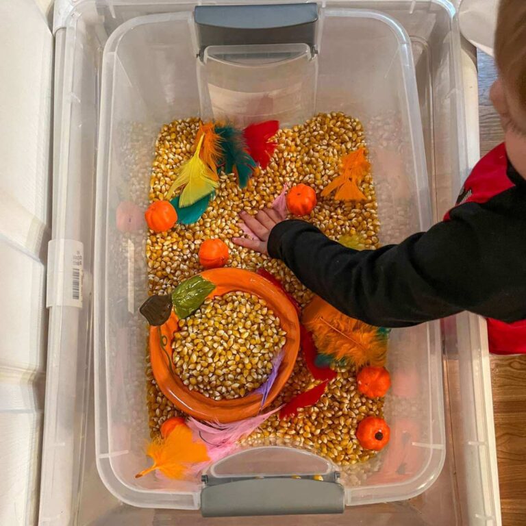 The Best DIY Thanksgiving Sensory Bin for Toddlers