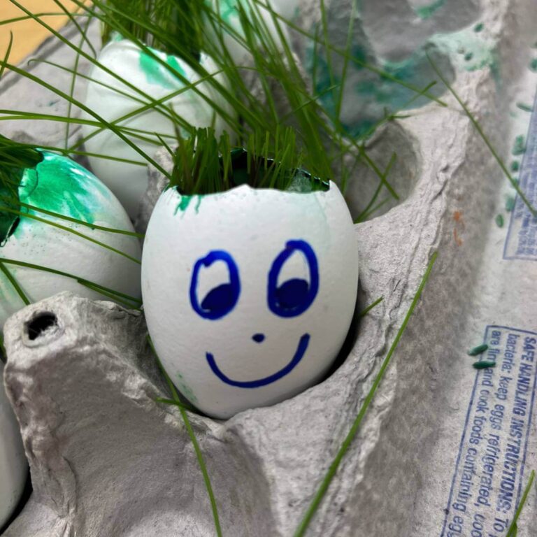 Fun Plant Activity for Preschoolers and Toddlers