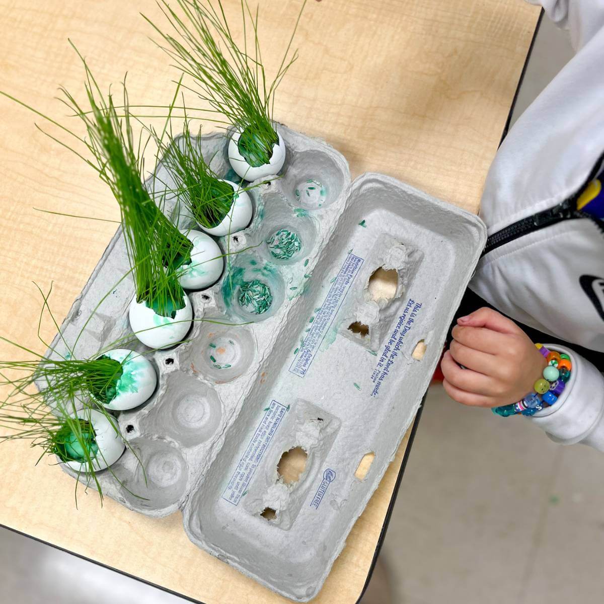 Fun Plant Activity for Preschoolers and Toddlers